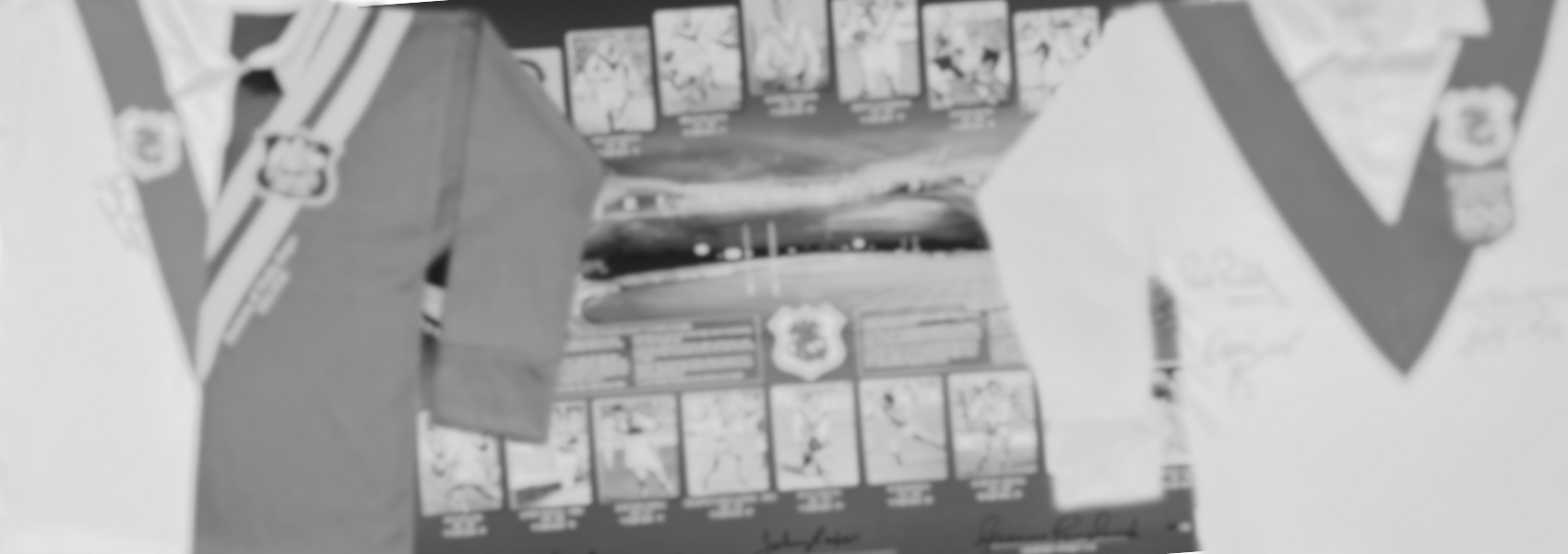 Memorabilia – St George Dragons